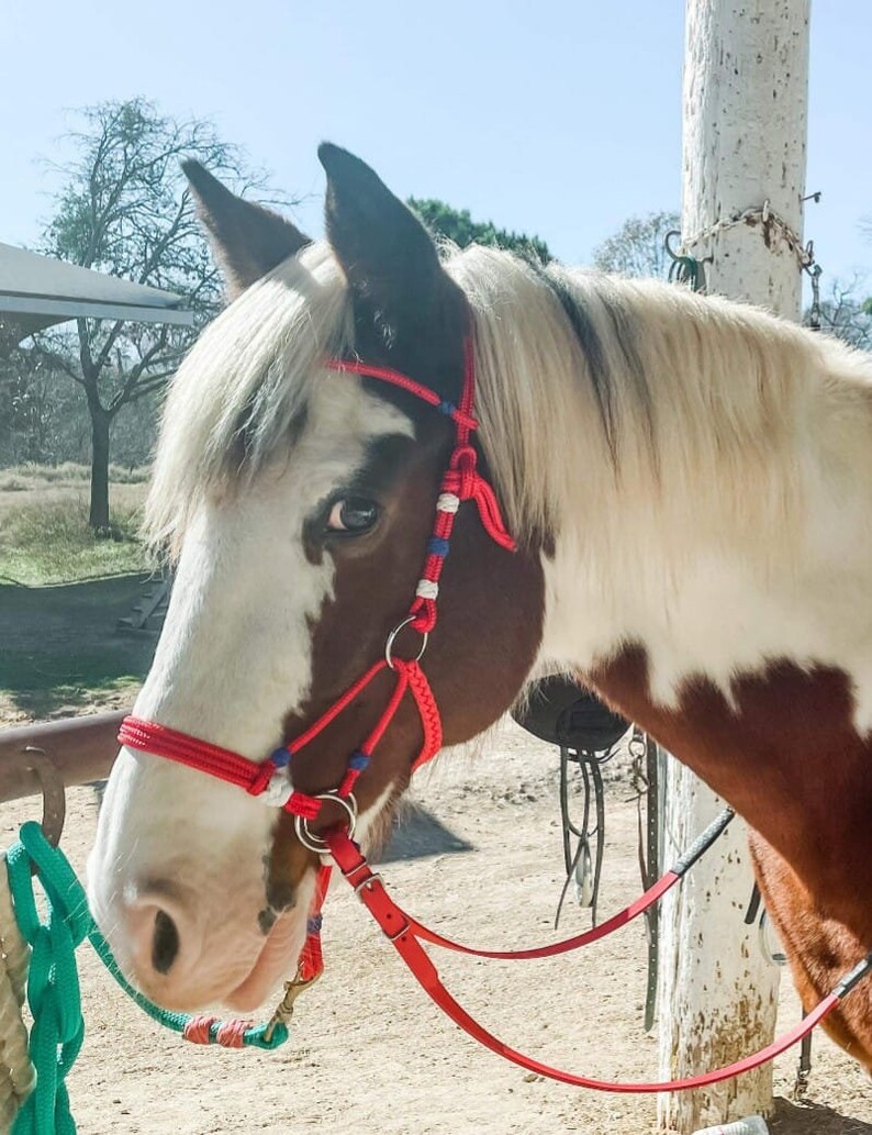 Custom Handmade Rope Horse Sidepull Bitless Bridle Hackamore - Etsy