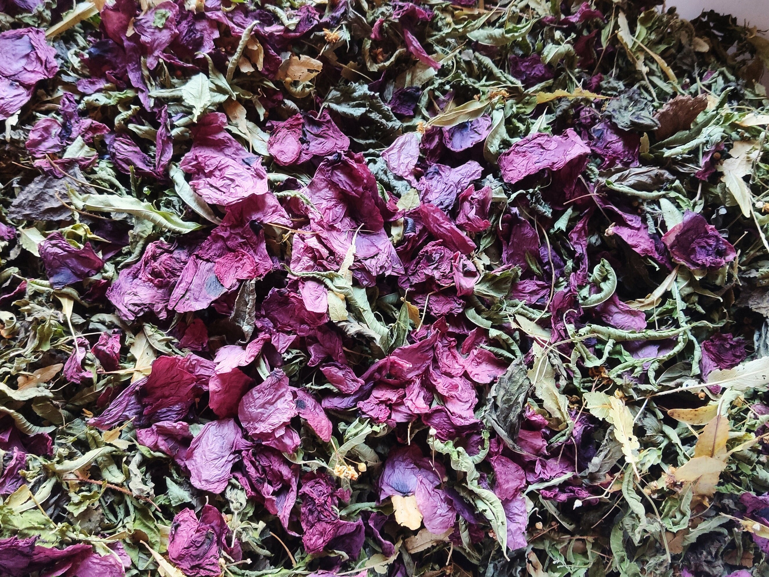 Infusion Paisible pour le soir - Tisane relaxante, apaisante - Plantes ...