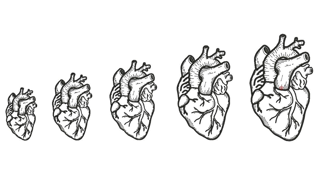 Anatomical Heart Embroidery Design, Machine Embroidery File, Human ...