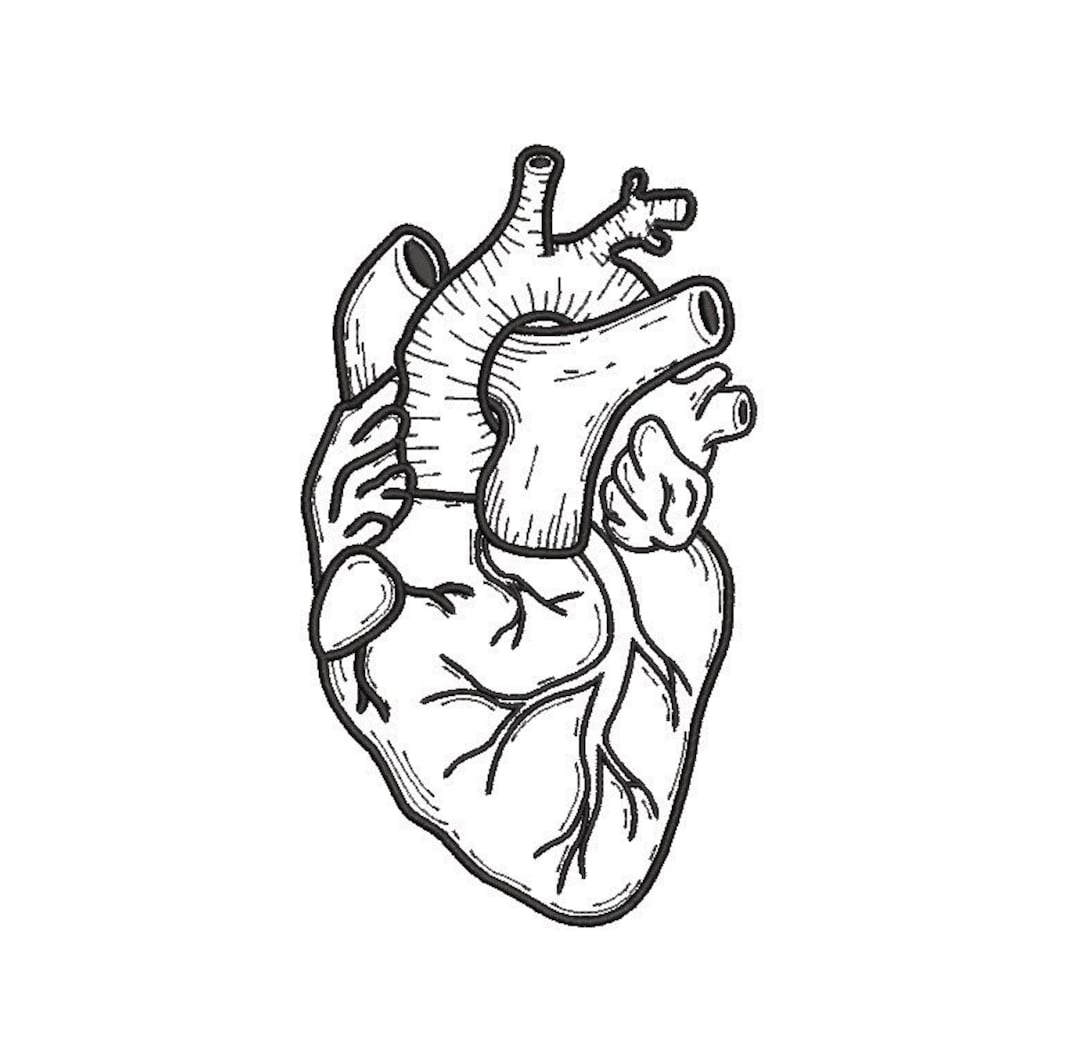 Anatomical Heart Machine Embroidery Design Human Heart - Etsy