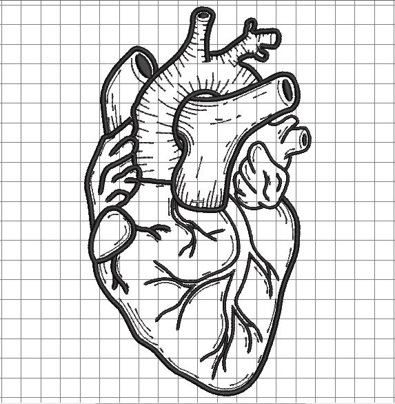 Anatomical Heart Machine Embroidery Design – Line Art Pattern – 5 Sizes ...
