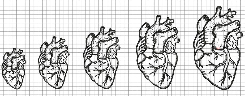 Anatomical Heart Machine Embroidery Design Human Heart - Etsy