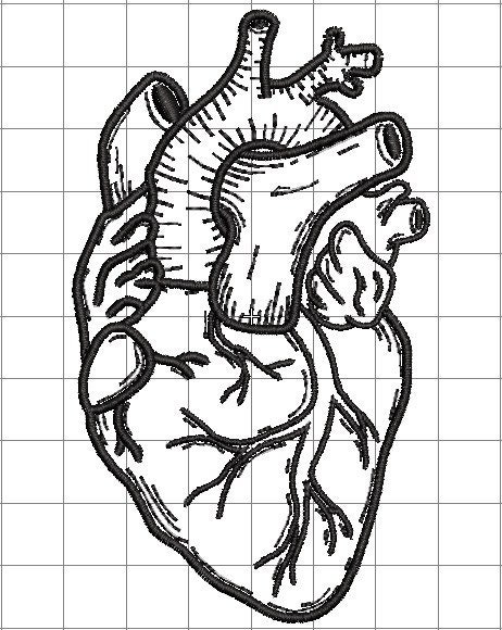 Anatomical Heart Machine Embroidery Design Human Heart - Etsy