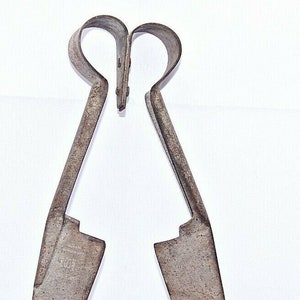 Antique Old Sheep Goat Shears Farm Tool Cast Steel Scissors Wool ...