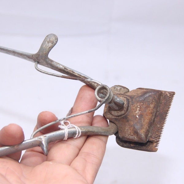 Antique Hair Clipper - Etsy