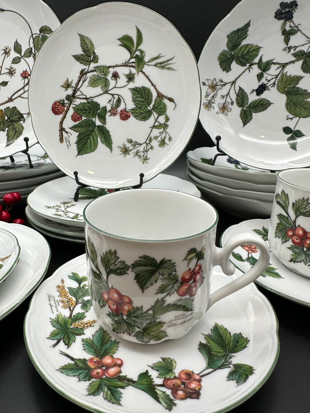 Vintage Seltmann Weiden Gloria Waldbeere Porcelain Dinner Coffee Set ...