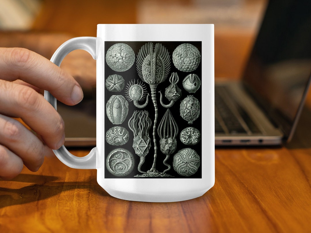 Artforms in Nature - Cystoidea - Ernst Haeckel, 15oz Coffee/tea Mug ...