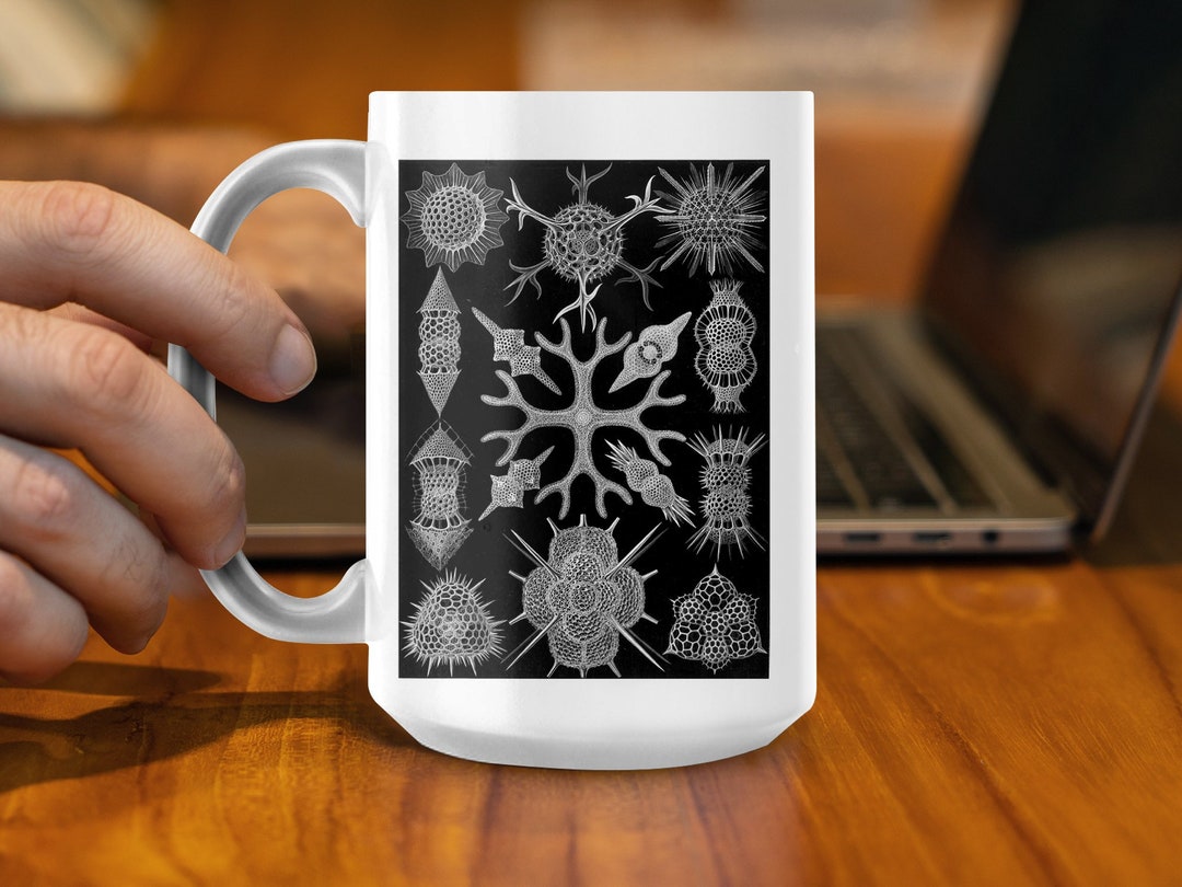 Artforms in Nature - Spumellaria (polycystine) - Ernst Haeckel, 15oz ...