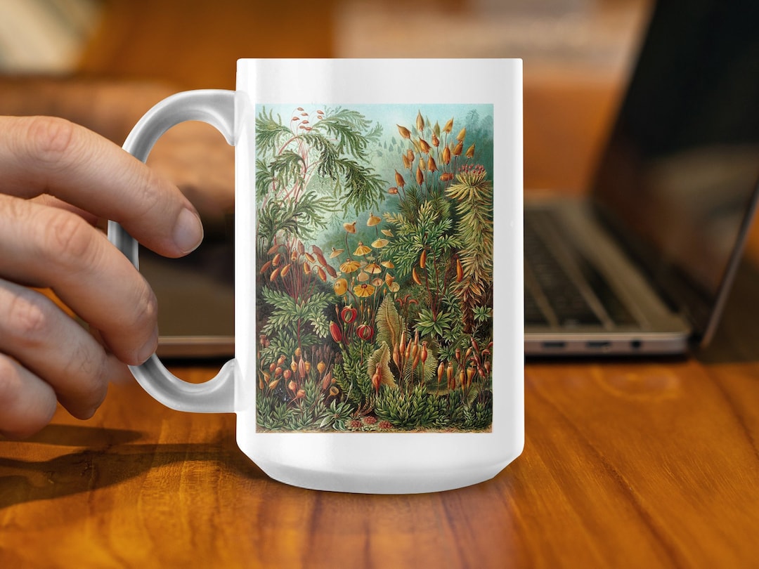 Artforms in Nature - Muscinae (moss) - Ernst Haeckel, 15oz Coffee/tea ...