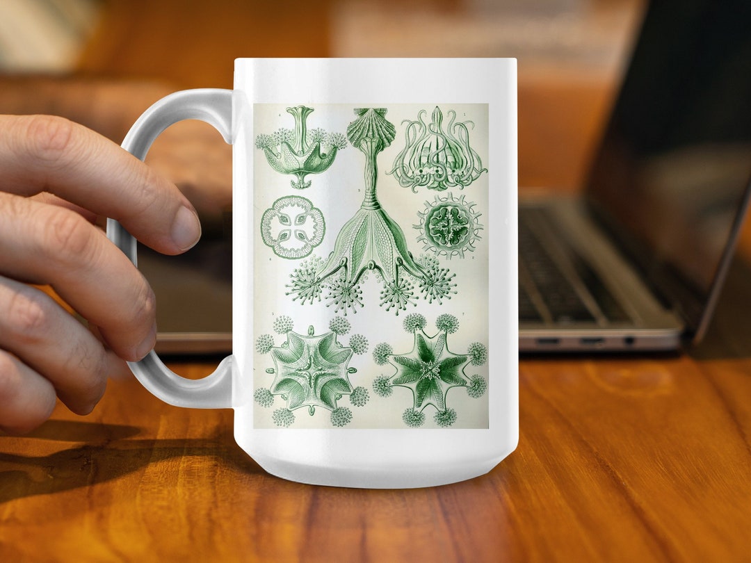Artforms in Nature - Stauromedusae - Ernst Haeckel, 15oz Coffee/tea Mug ...