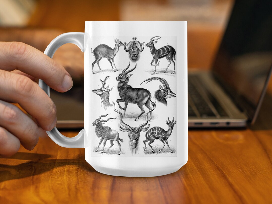Artforms in Nature Antilopina antelope Ernst Haeckel, 15oz Coffee/tea ...