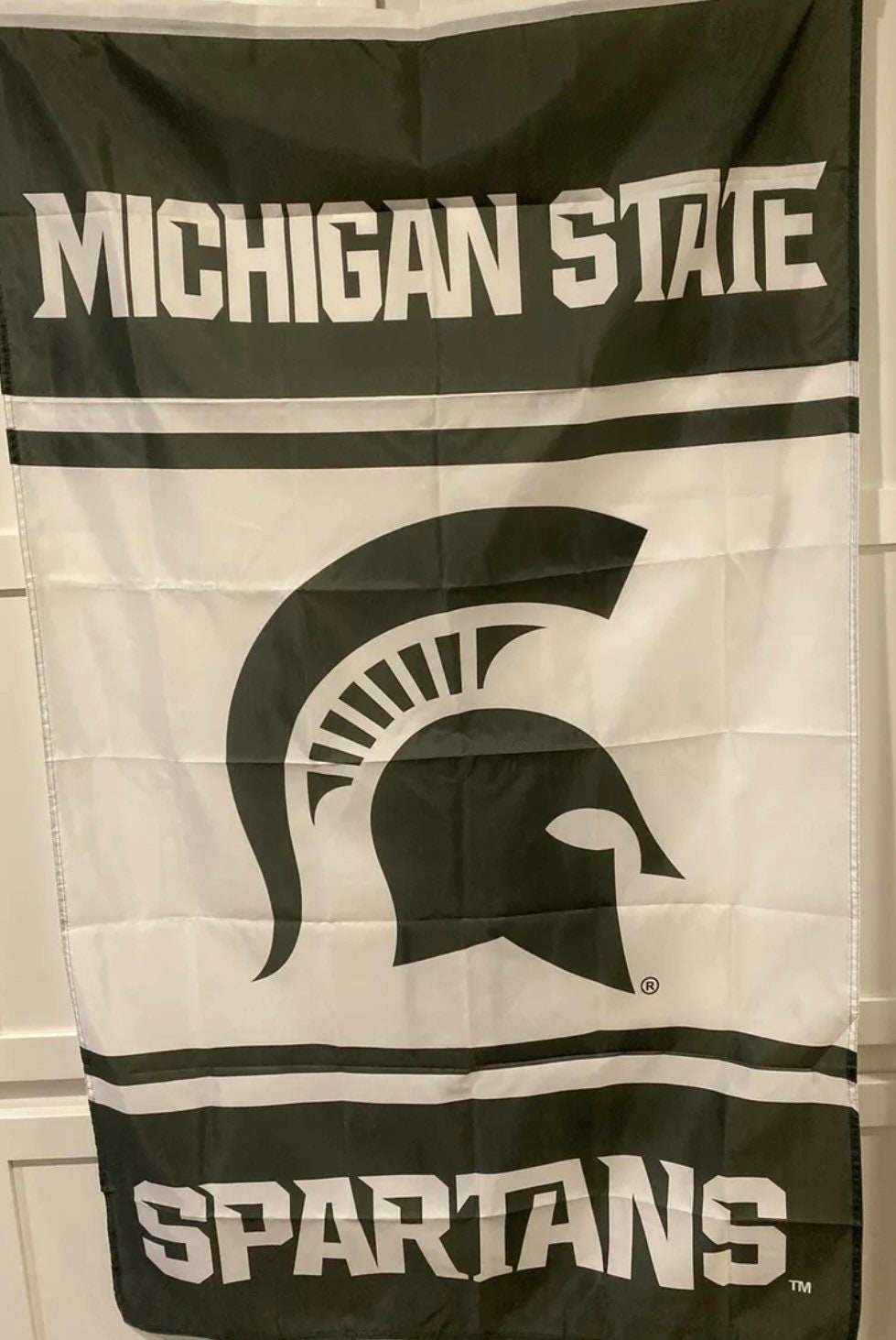 Michigan State Spartans Flag