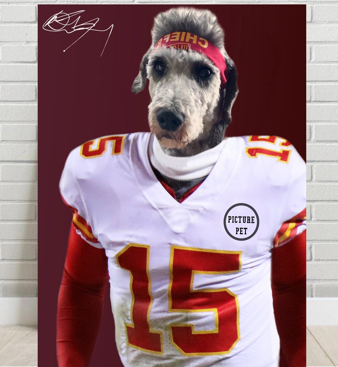 Custom American Football Dog Portrait . Kansas City Jersey Pet - Etsy