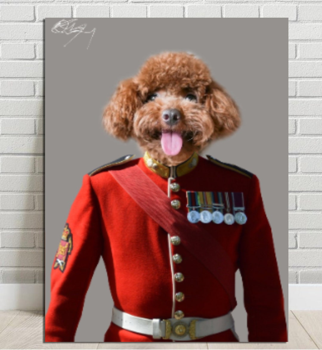 Custom Pet Portrait: Military Soldier Costume, Personalized Pet Gift - Etsy