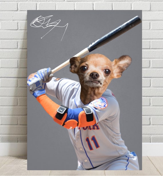 Custom Baseball Pet Portrait New York Mets Dog Portrait | Etsy