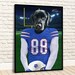 Buffalo Football Team Pet Portrait: Custom Dog Art Gift - Etsy