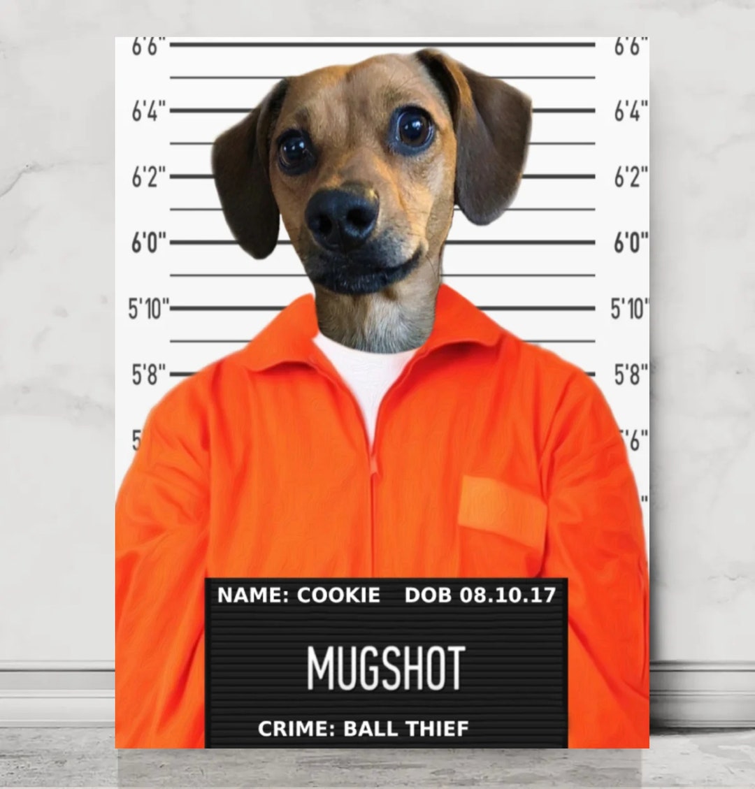 Custom Dog Portrait, Criminal Pet Portrait, Guilty Pet, Funny Pet ...