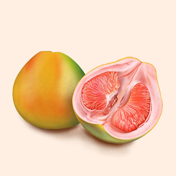 Pomelo - Etsy