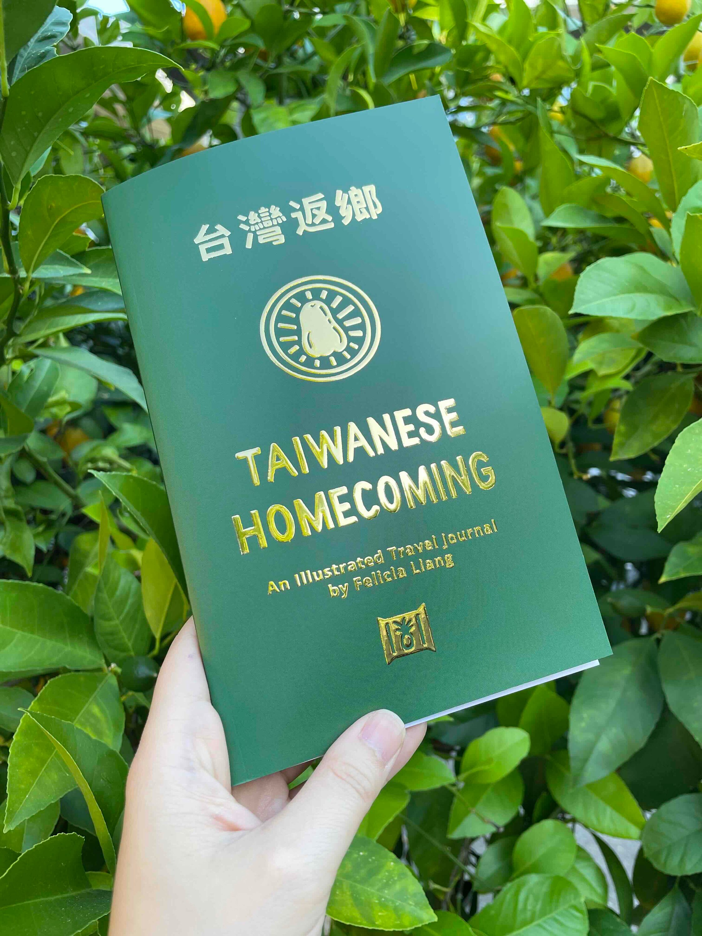 Taiwanese Homecoming Book | Art Book | Travel Journal - Etsy