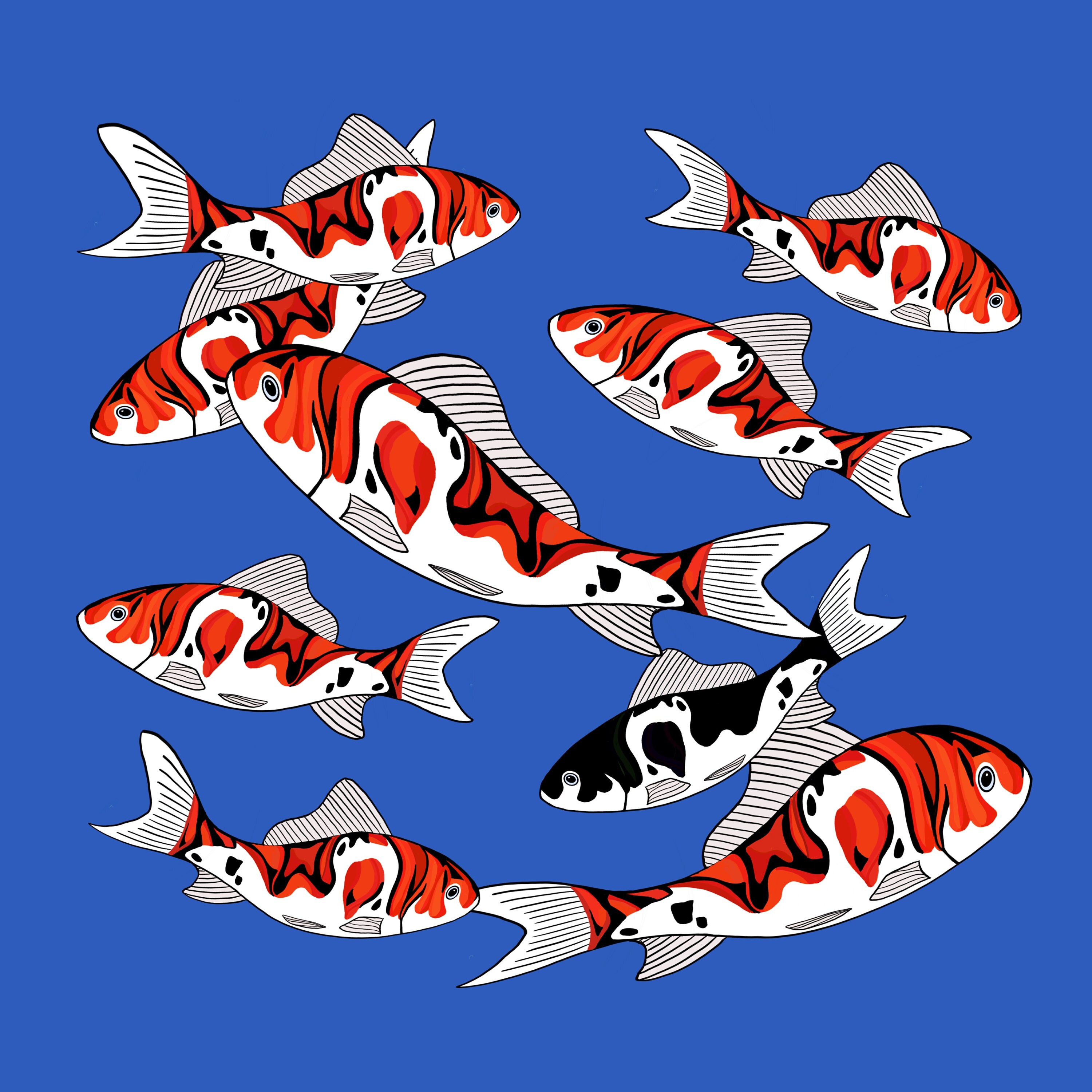 Simple Koi Fish Drawing