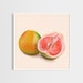 Pomelo Art Print Food Illustration Digital Art - Etsy