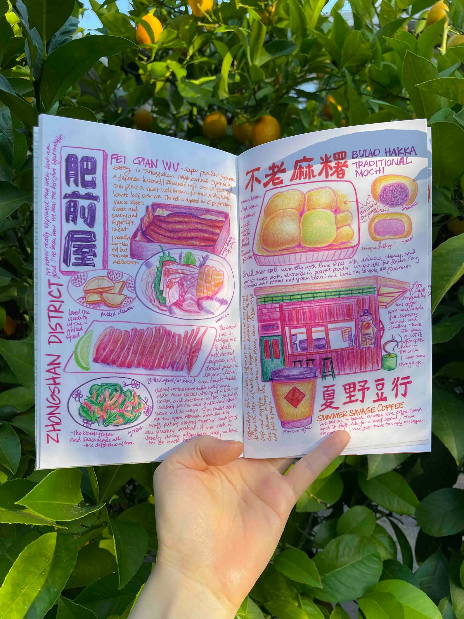 Taiwanese Homecoming Book | Art Book | Travel Journal - Etsy