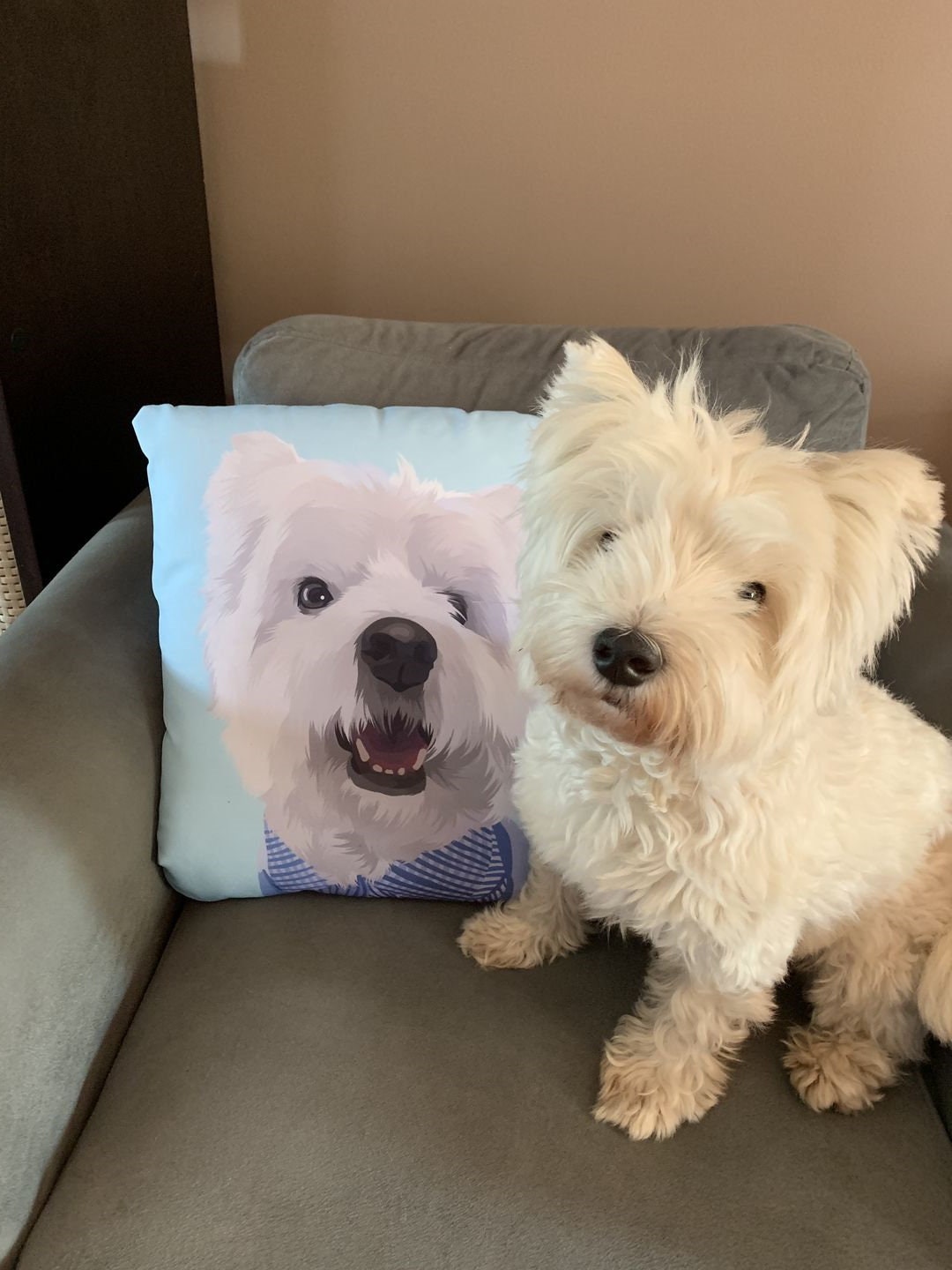 Personalized Dog Pillow, Custom Dog Pillow, Custom Pet Pillow, Cat ...