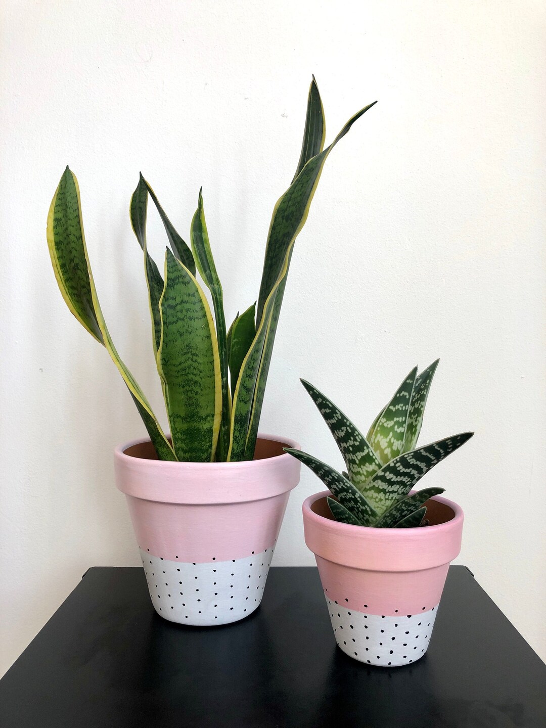 The Amelia Pot - Etsy