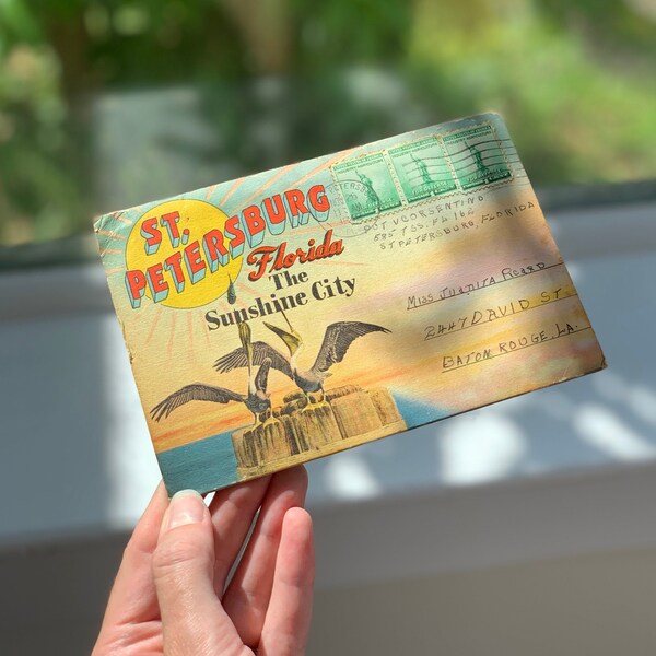 Florida Postcard - Etsy