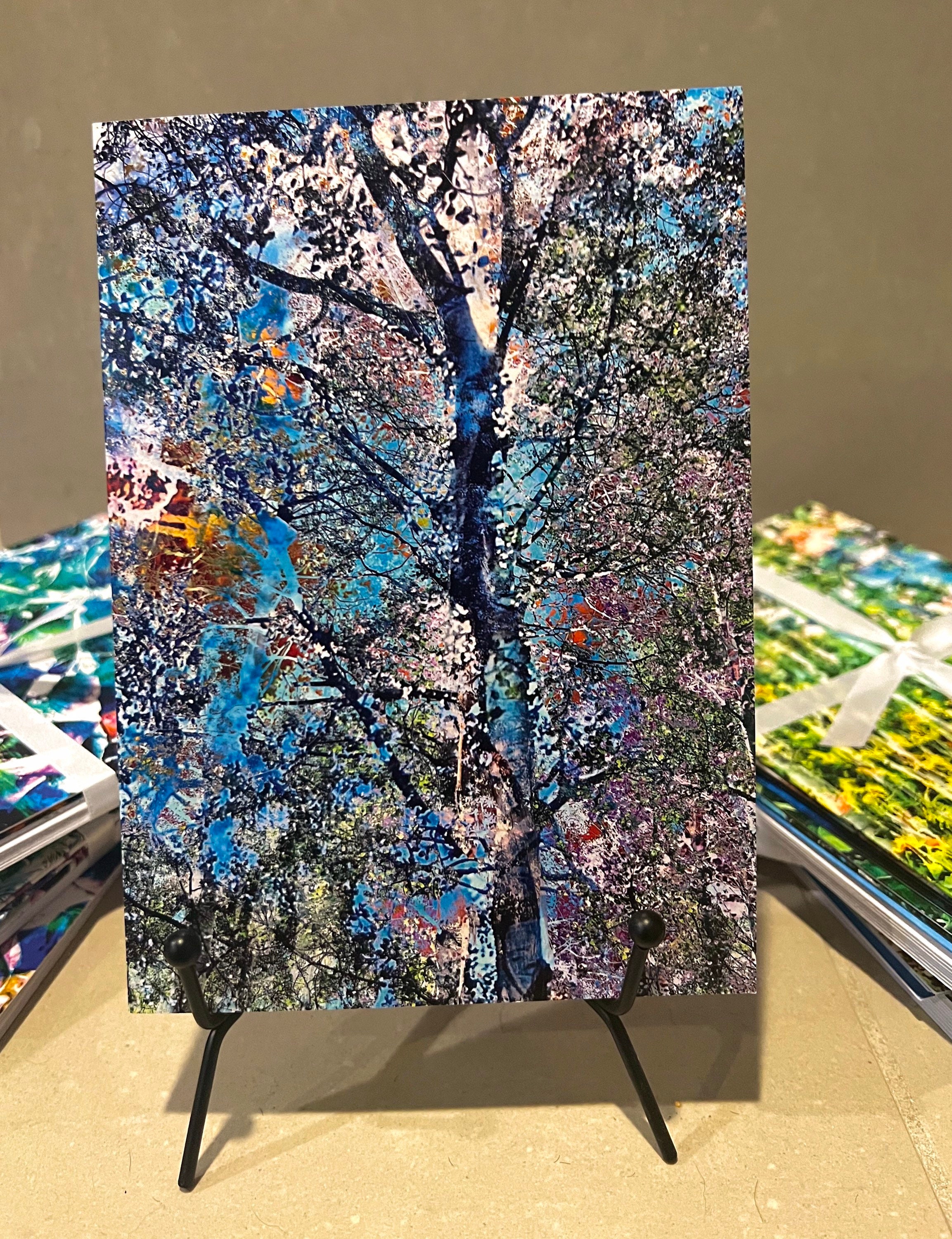 New "abstract Nature Art Set" of Eight Individual Greeting Cards - Etsy