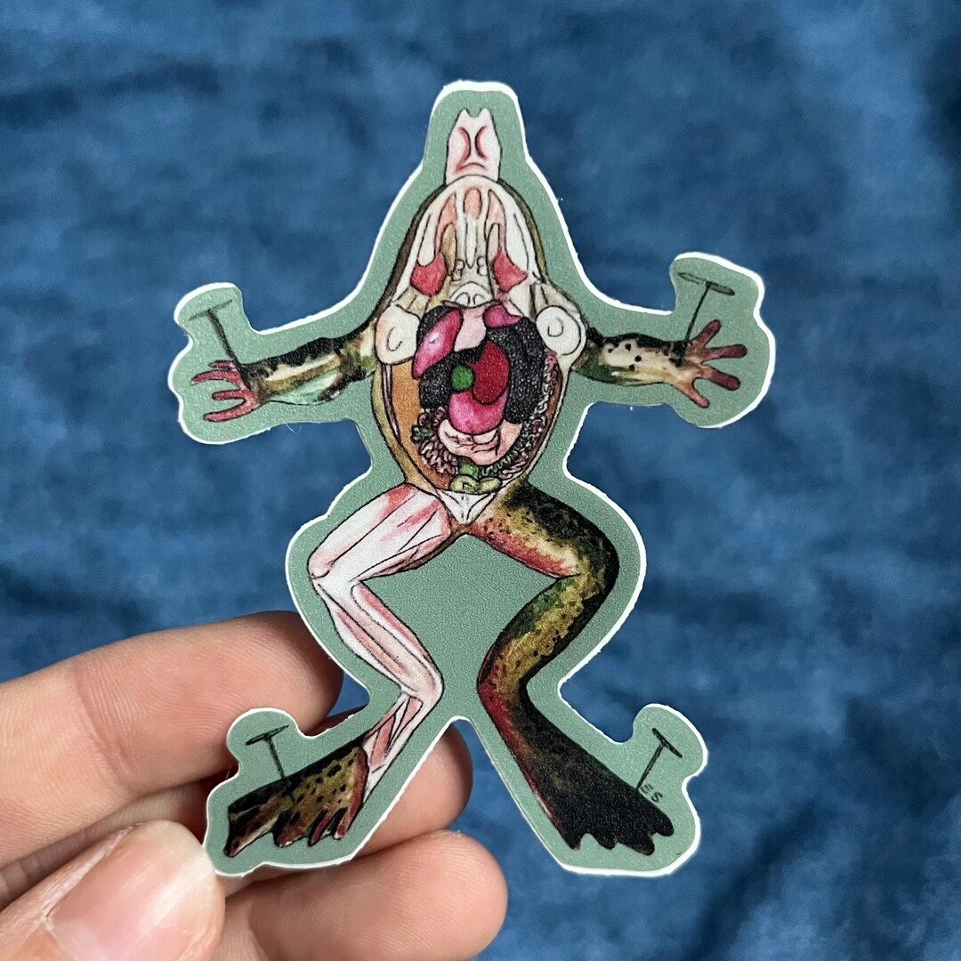 Croaked Frog Sticker - Etsy
