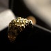 Authentic 14k Yellow Gold Nugget Ring for Mens & Womens 4 Types Size 6 ...