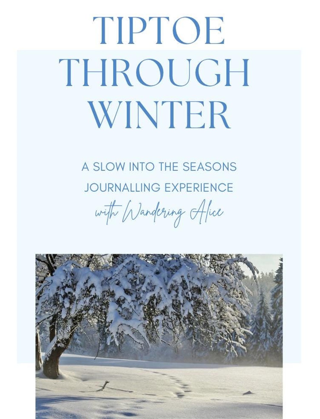 Tiptoe Through Winter: A Nature-inspired Journalling Course. - Etsy