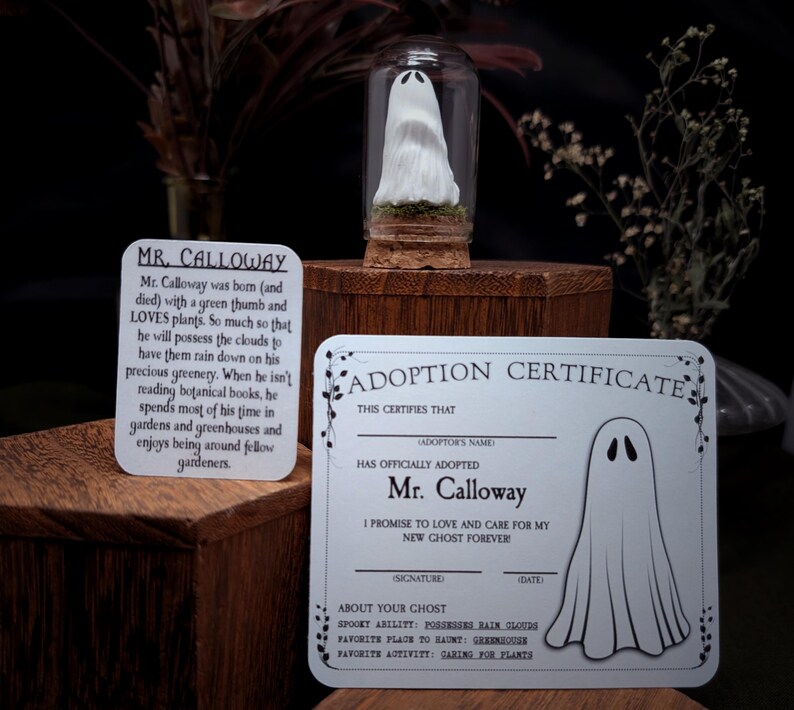 Adopt a Ghost Collectible With Bio Card and Adoption Certificate ...