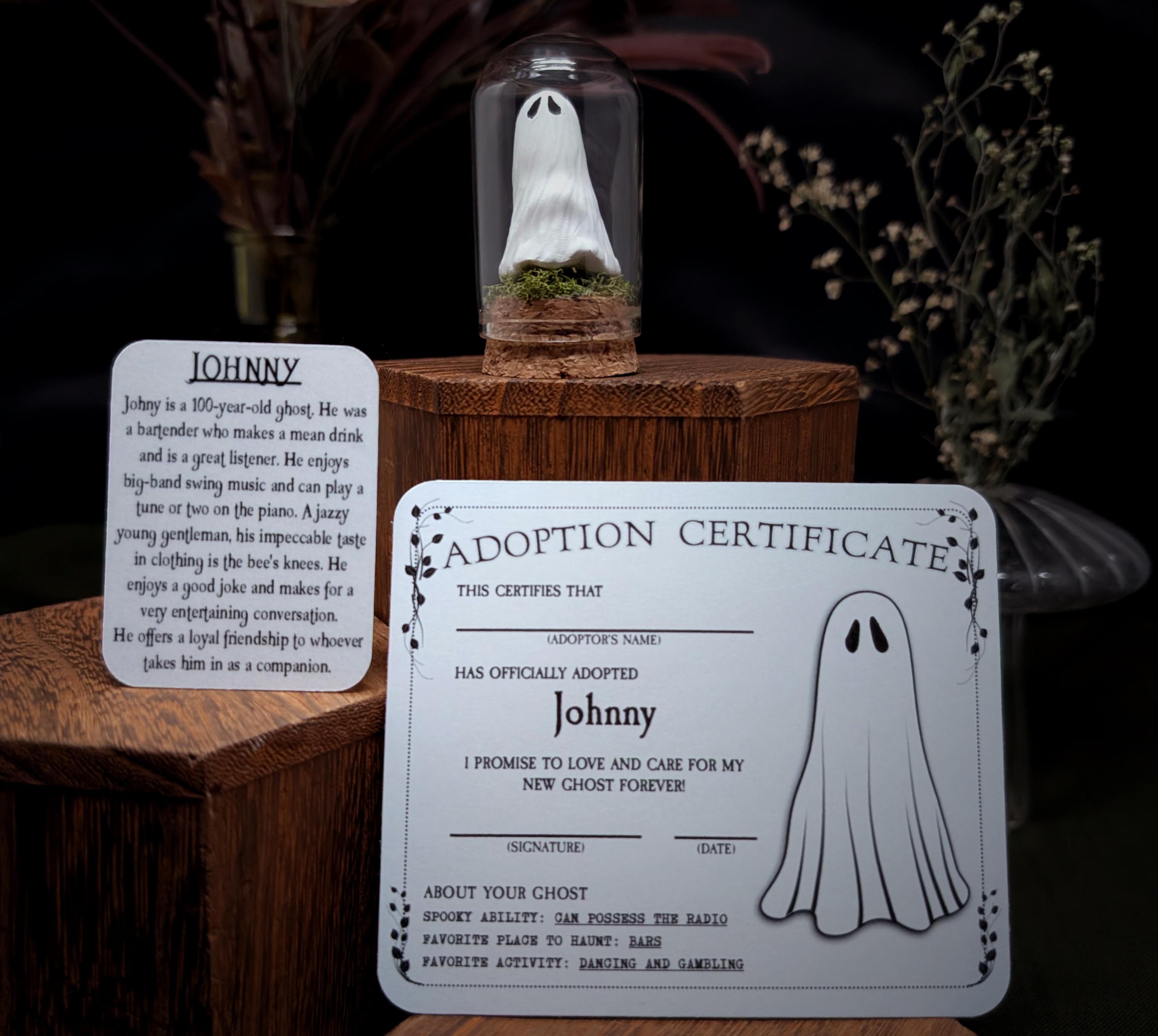 Adopt a Ghost Collectible With Bio Card and Adoption Certificate ...