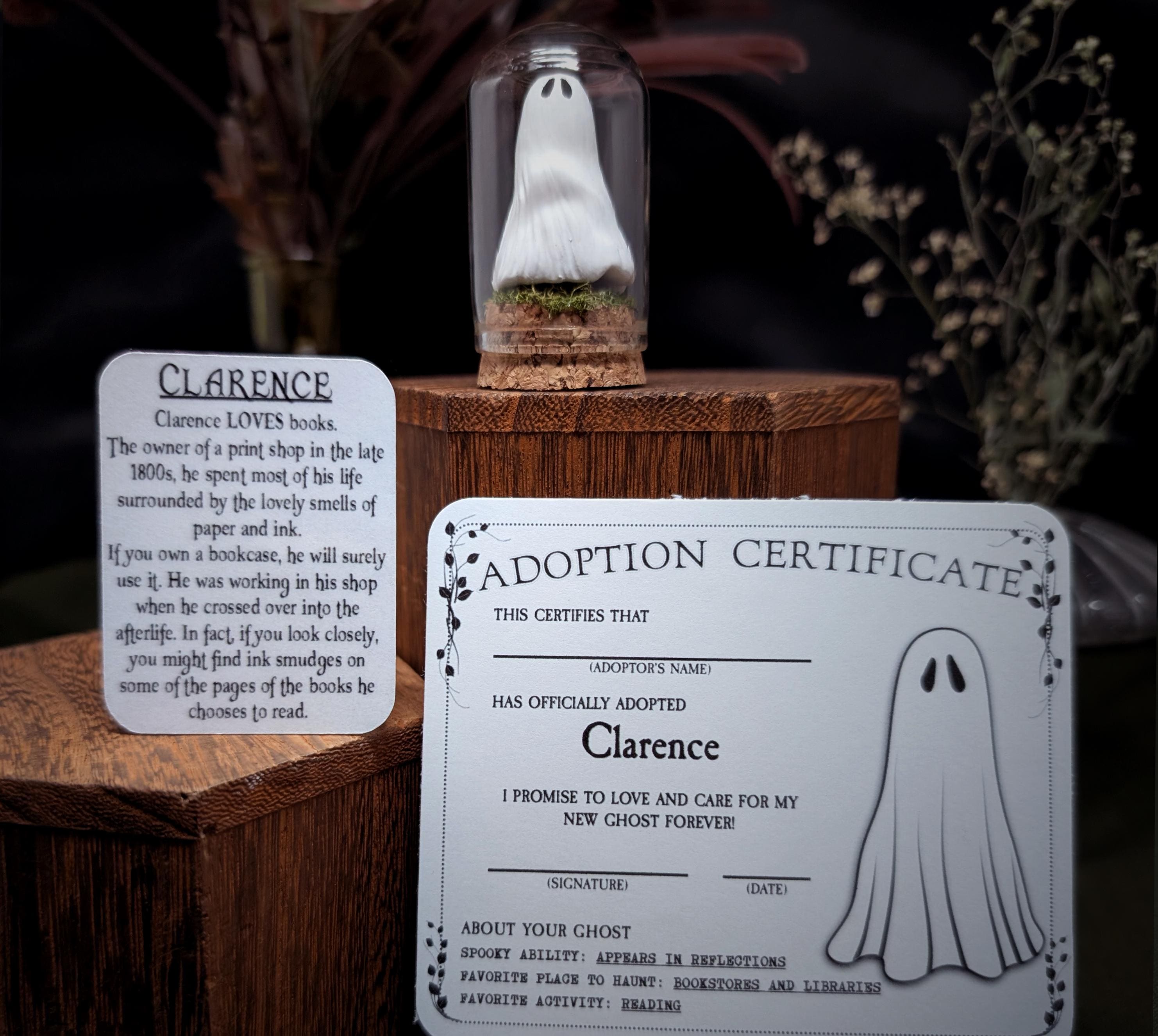 Adopt a Ghost Collectible With Bio Card and Adoption Certificate ...