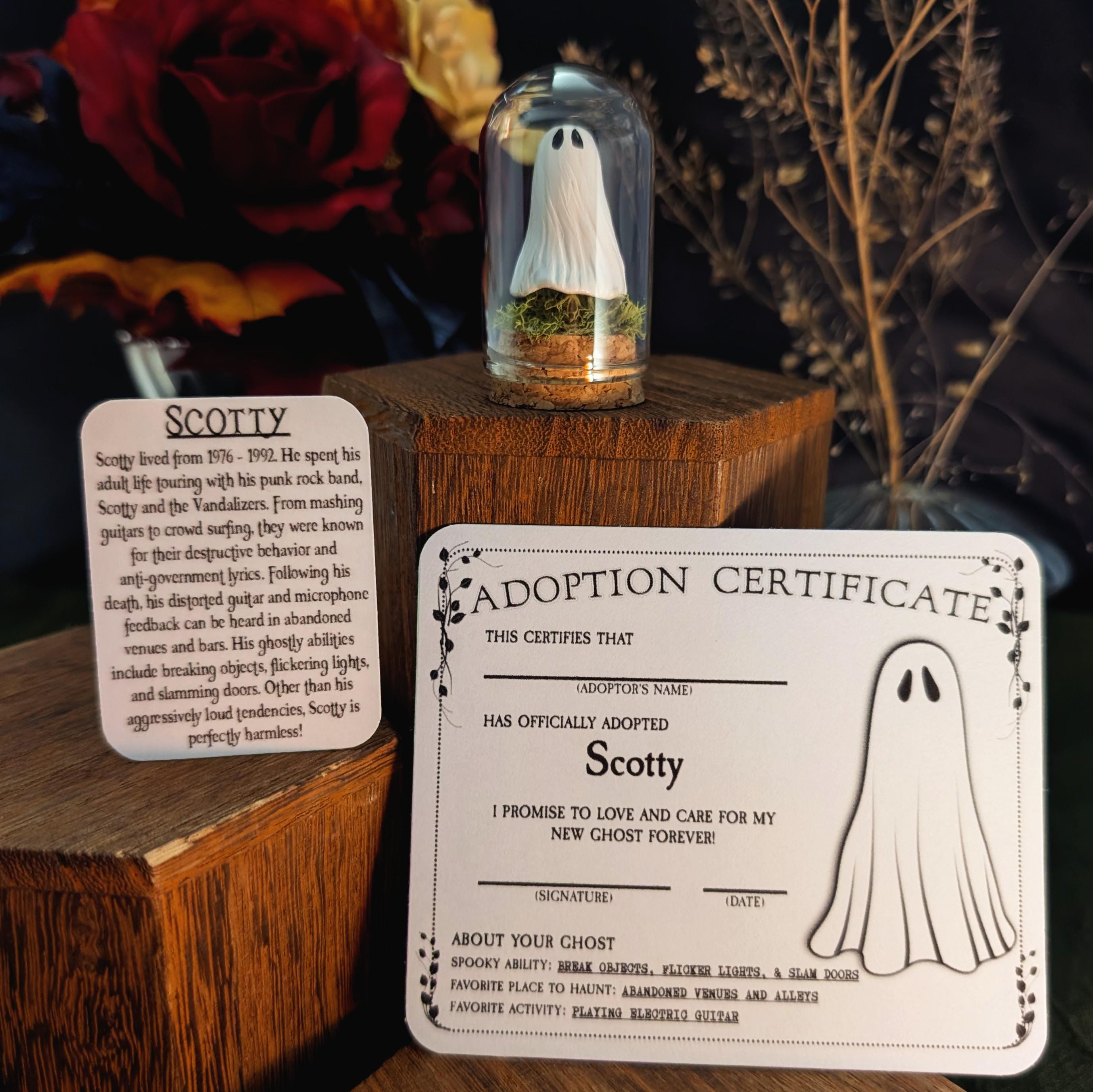 Adopt a Ghost Collectible With Bio Card and Adoption Certificate ...