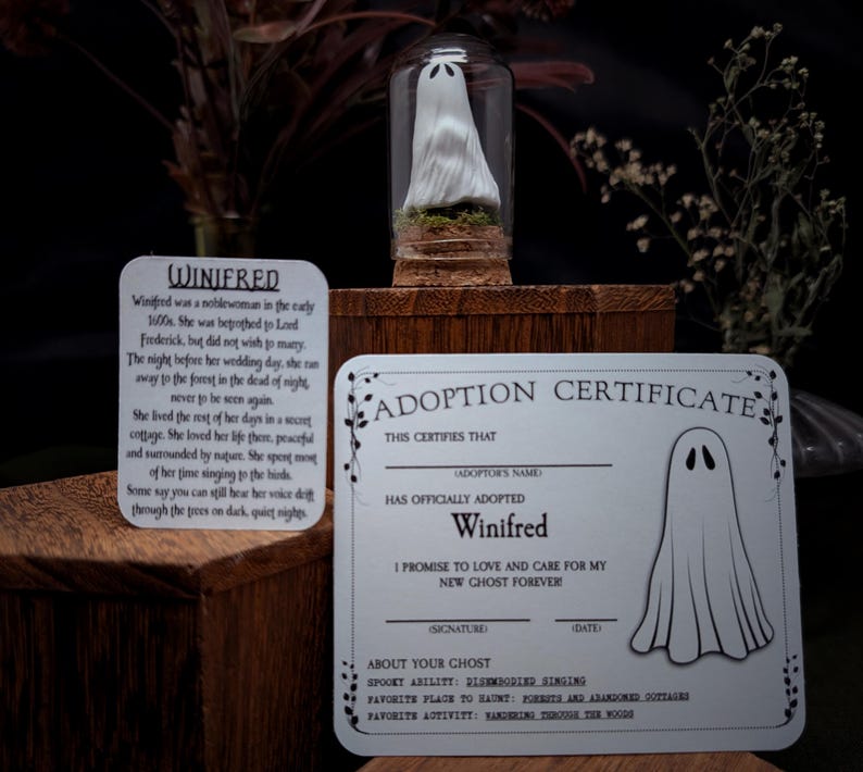 Adopt a Ghost Collectible With Bio Card and Adoption Certificate ...