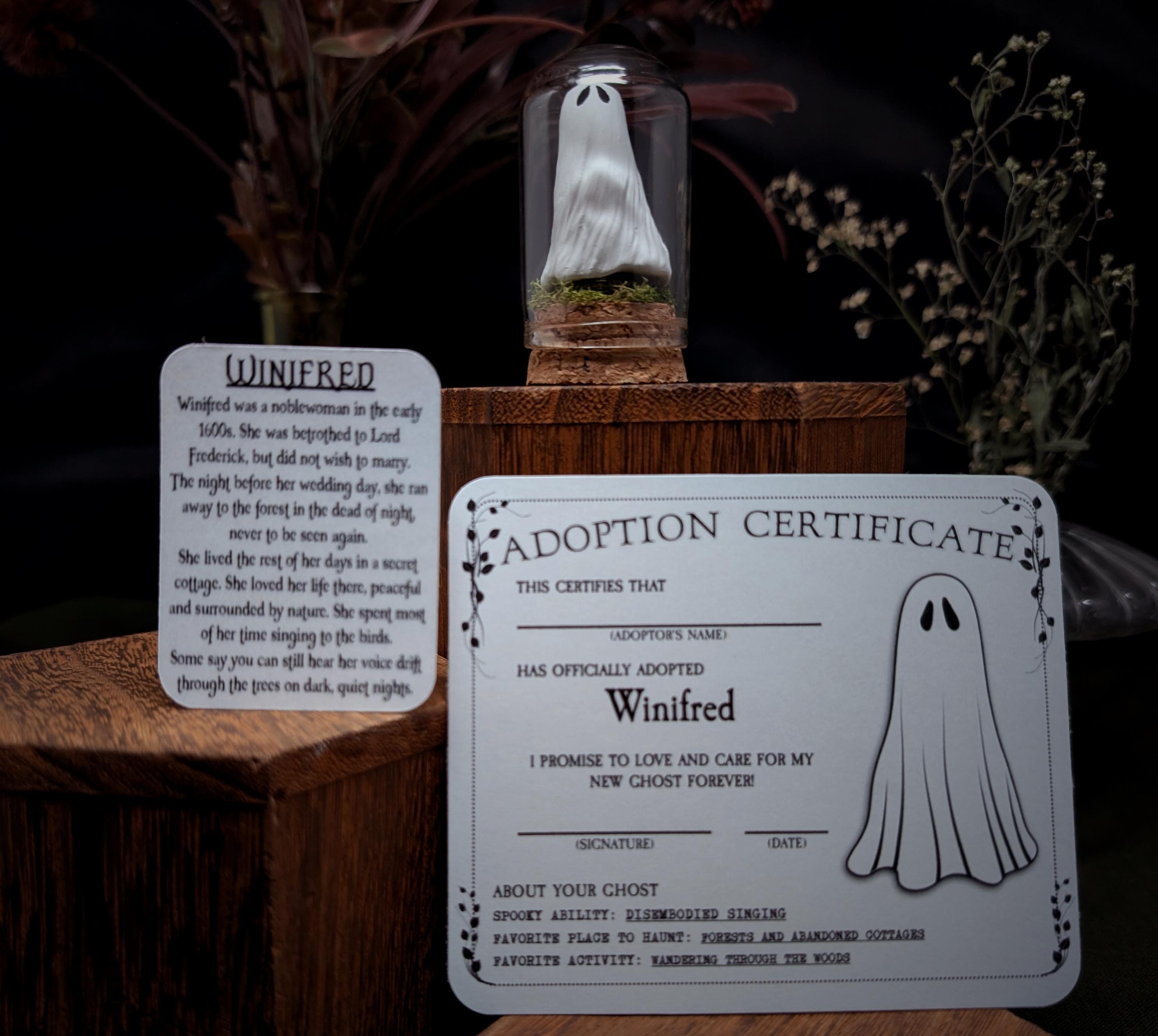 Adopt a Ghost Collectible With Bio Card and Adoption Certificate ...