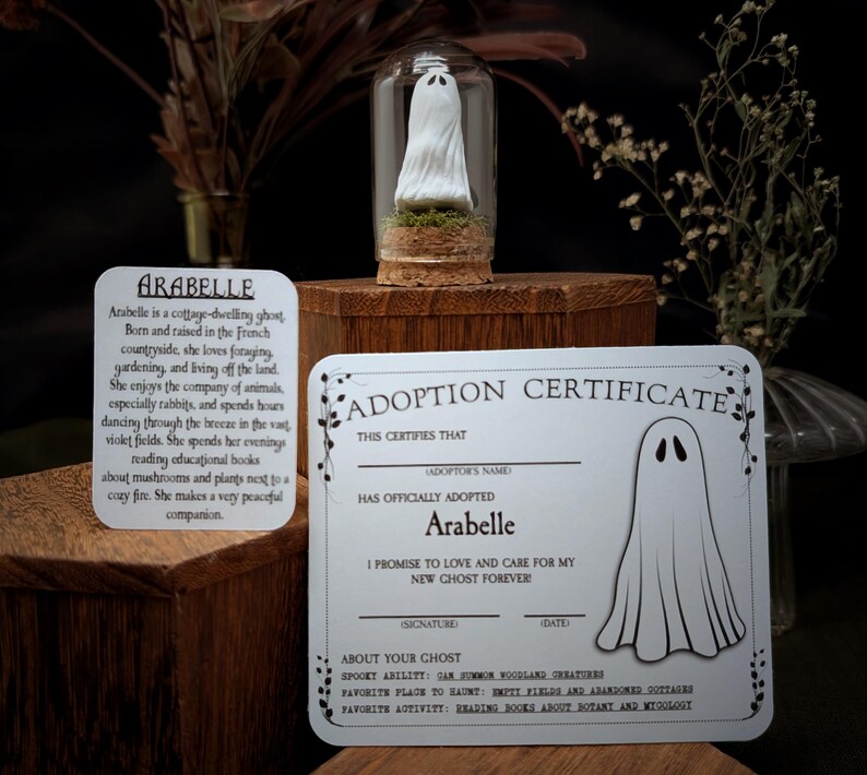 Adopt a Ghost Collectible With Bio Card and Adoption Certificate ...