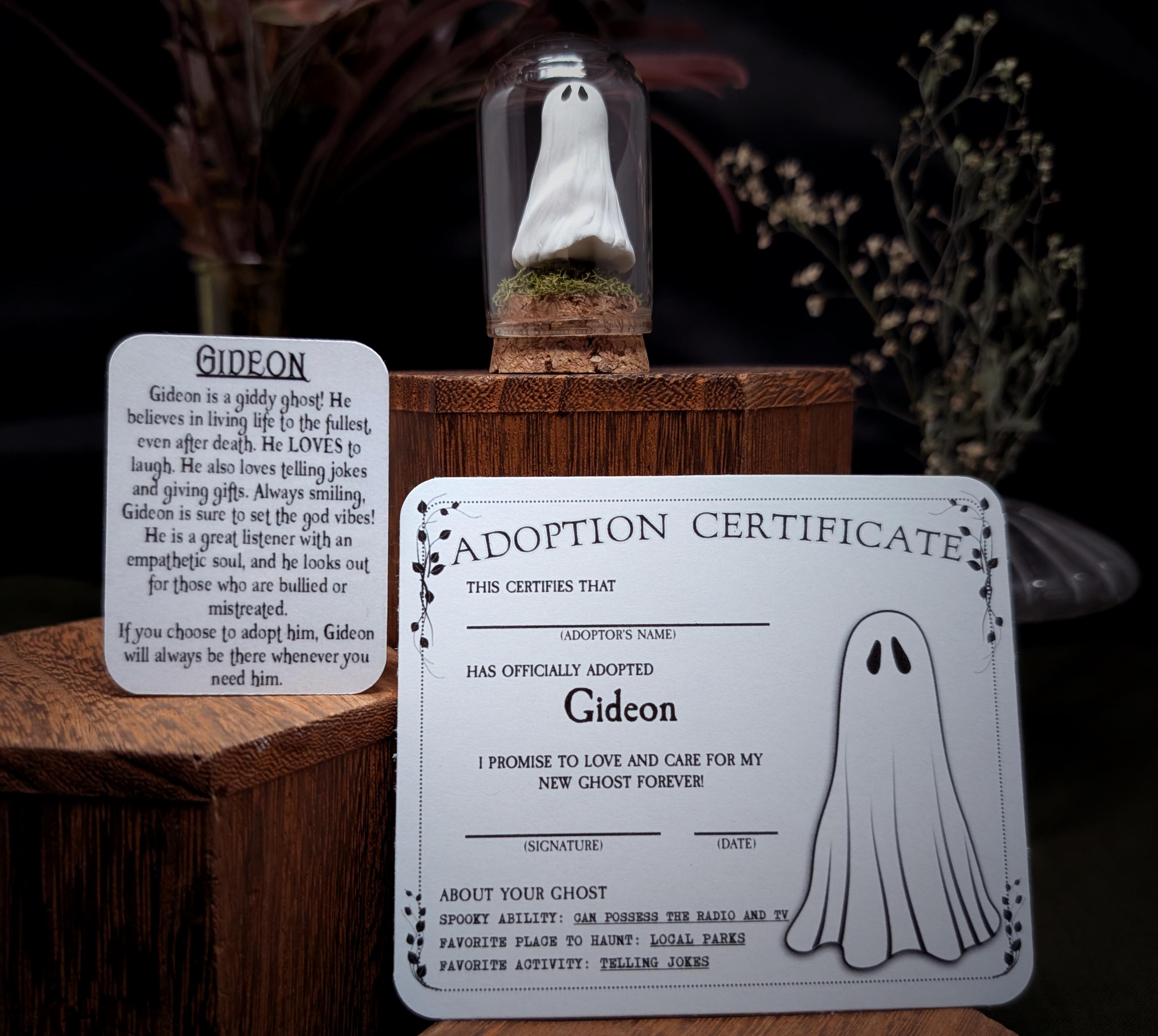 Adopt a Ghost Collectible With Bio Card and Adoption Certificate ...