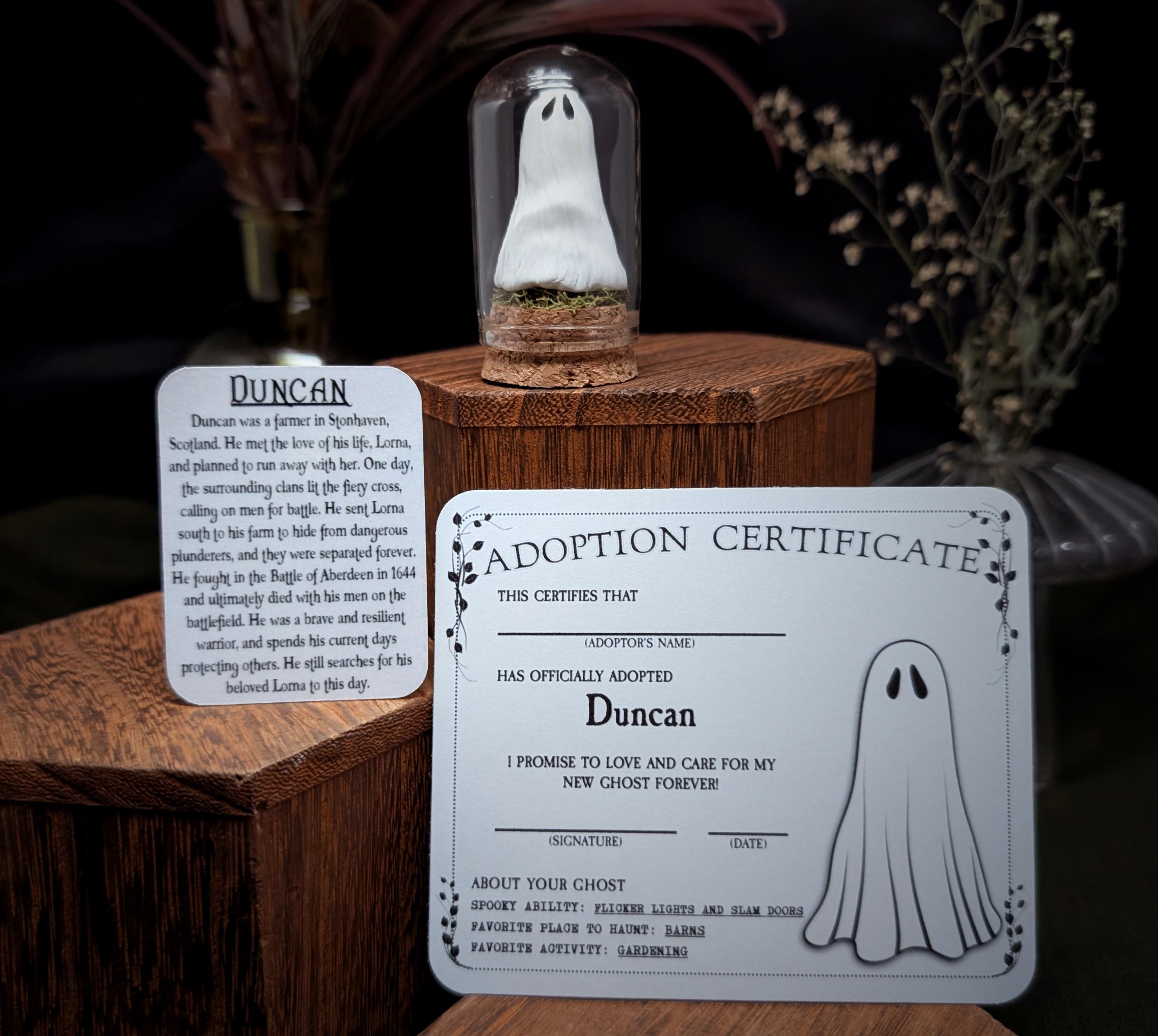 Adopt a Ghost Collectible With Bio Card and Adoption Certificate ...