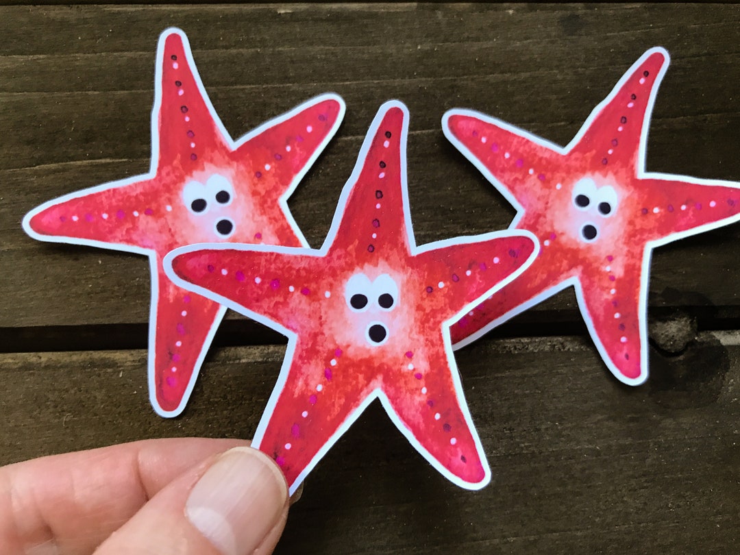 Die Cut Red Starfish Sticker Weatherproof Sticker Matte Sticker Laptop ...