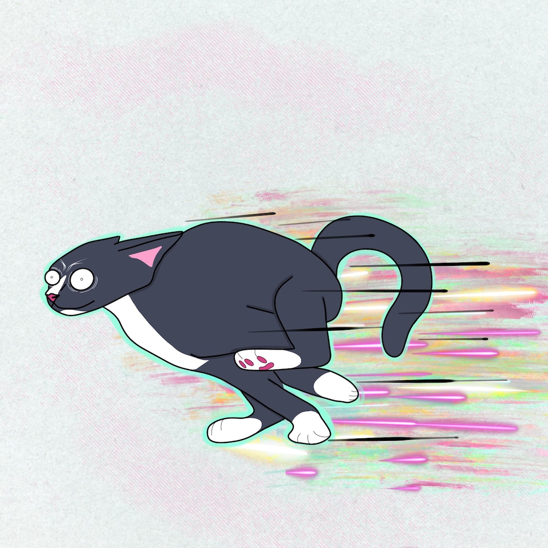 Black Cat Zoomies Art - Etsy