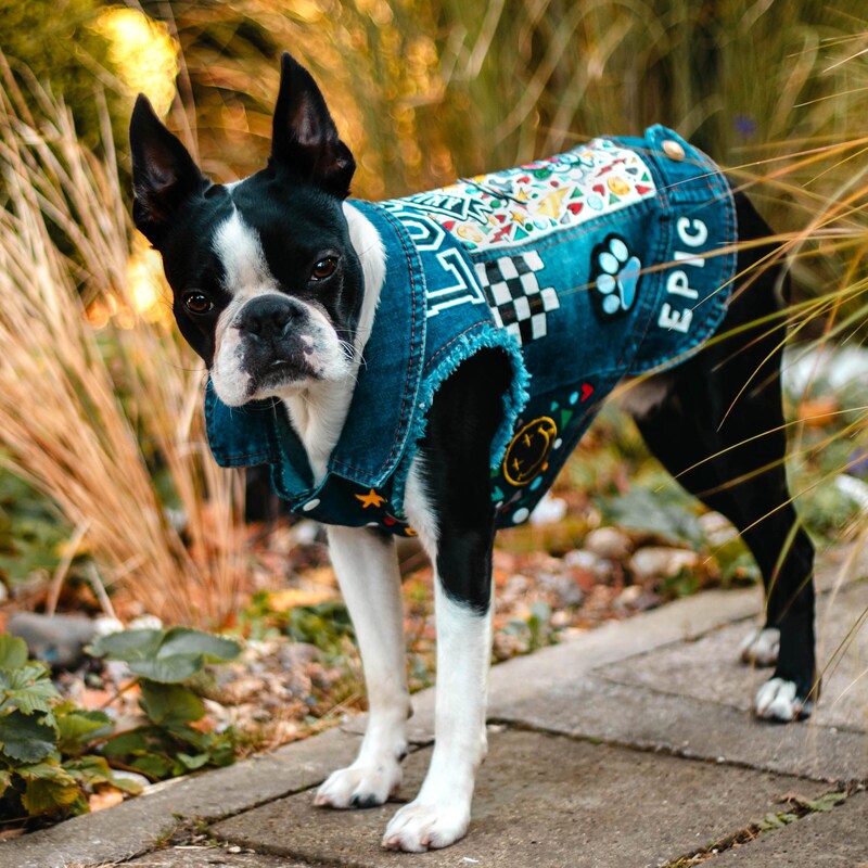 Denim Dog Jacket - Etsy