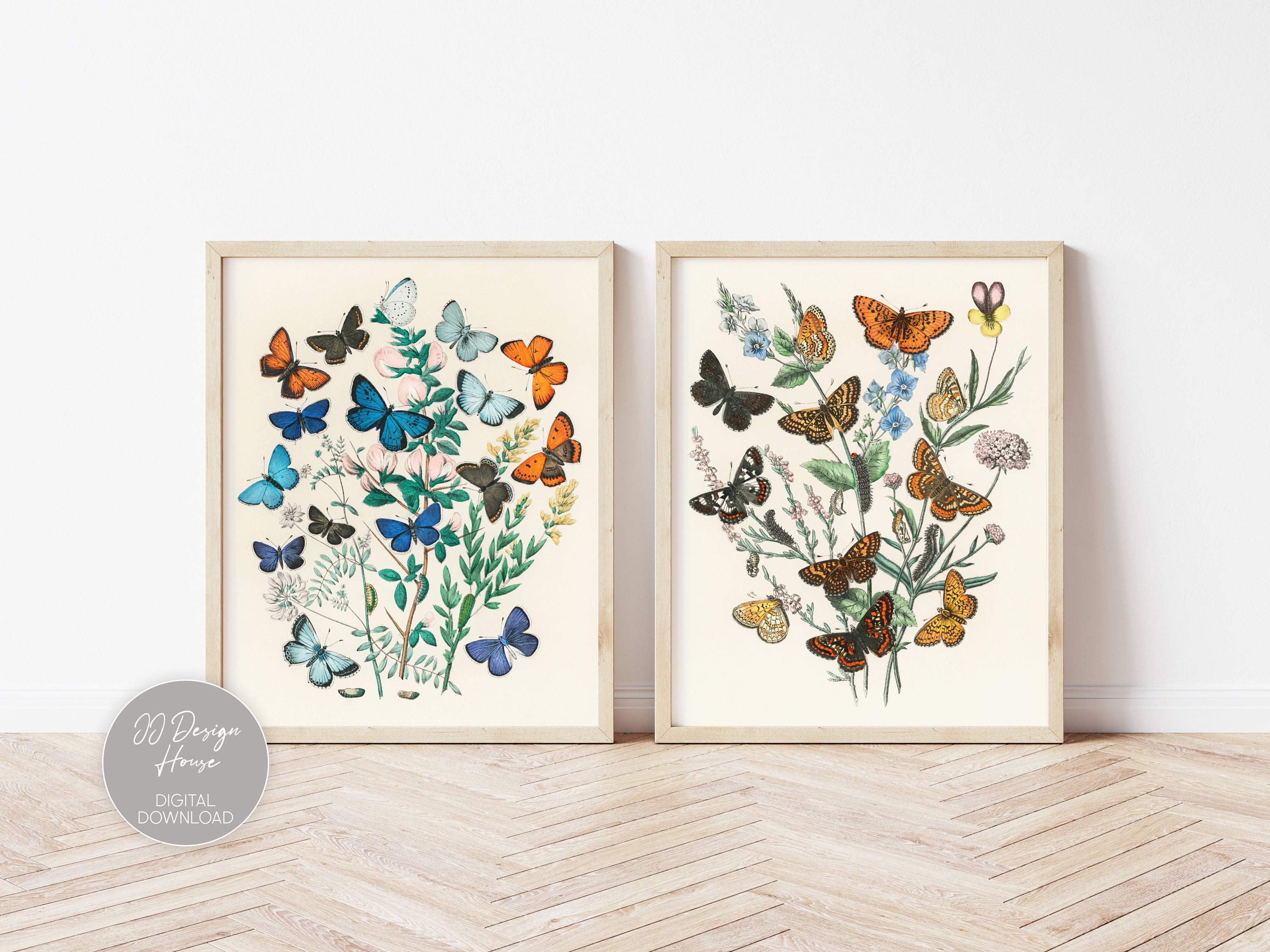 Butterfly Prints Set of 2 Botanical Butterfly Illustrations | Etsy
