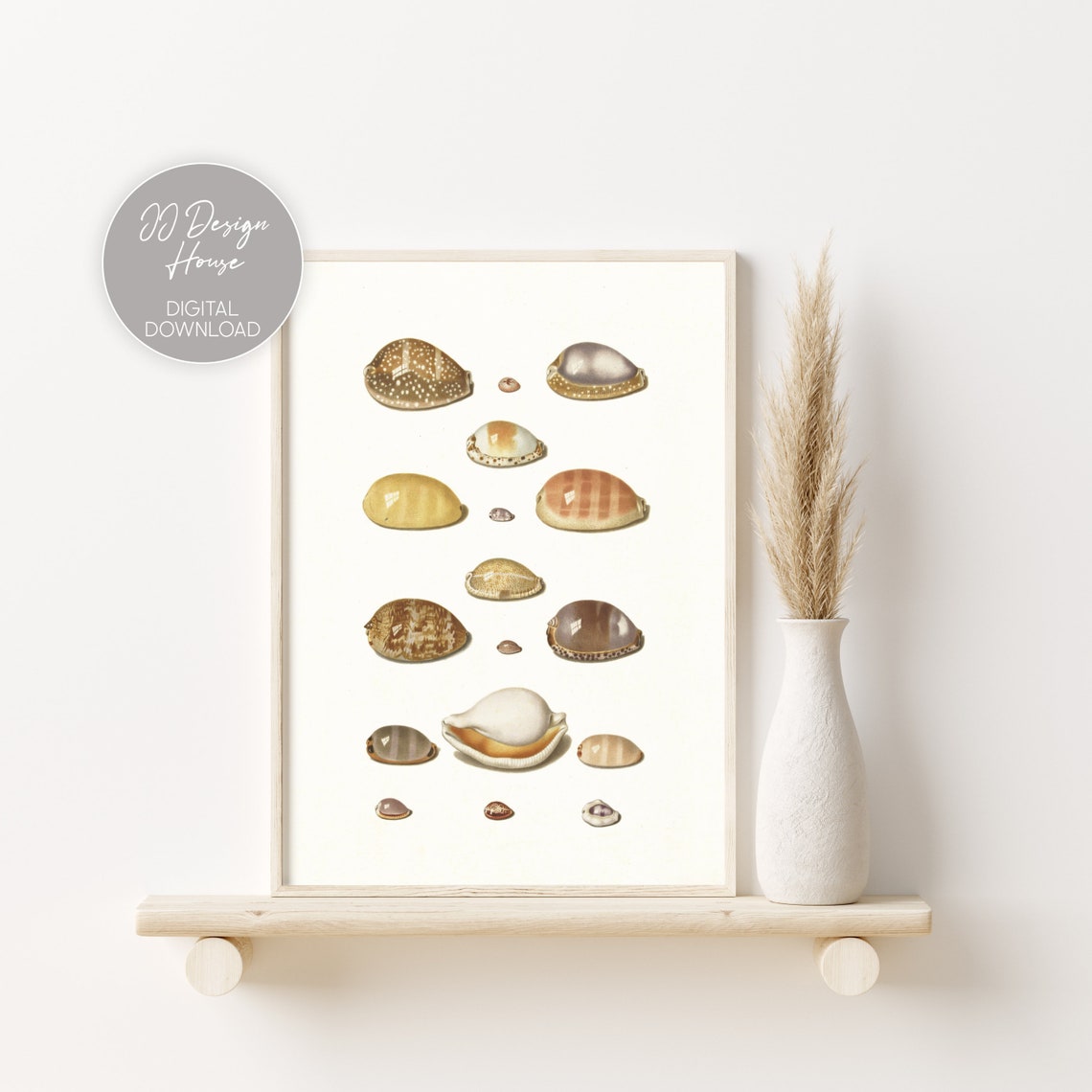 Vintage Seashells Print Coastal Wall Art Shell Poster Beach - Etsy