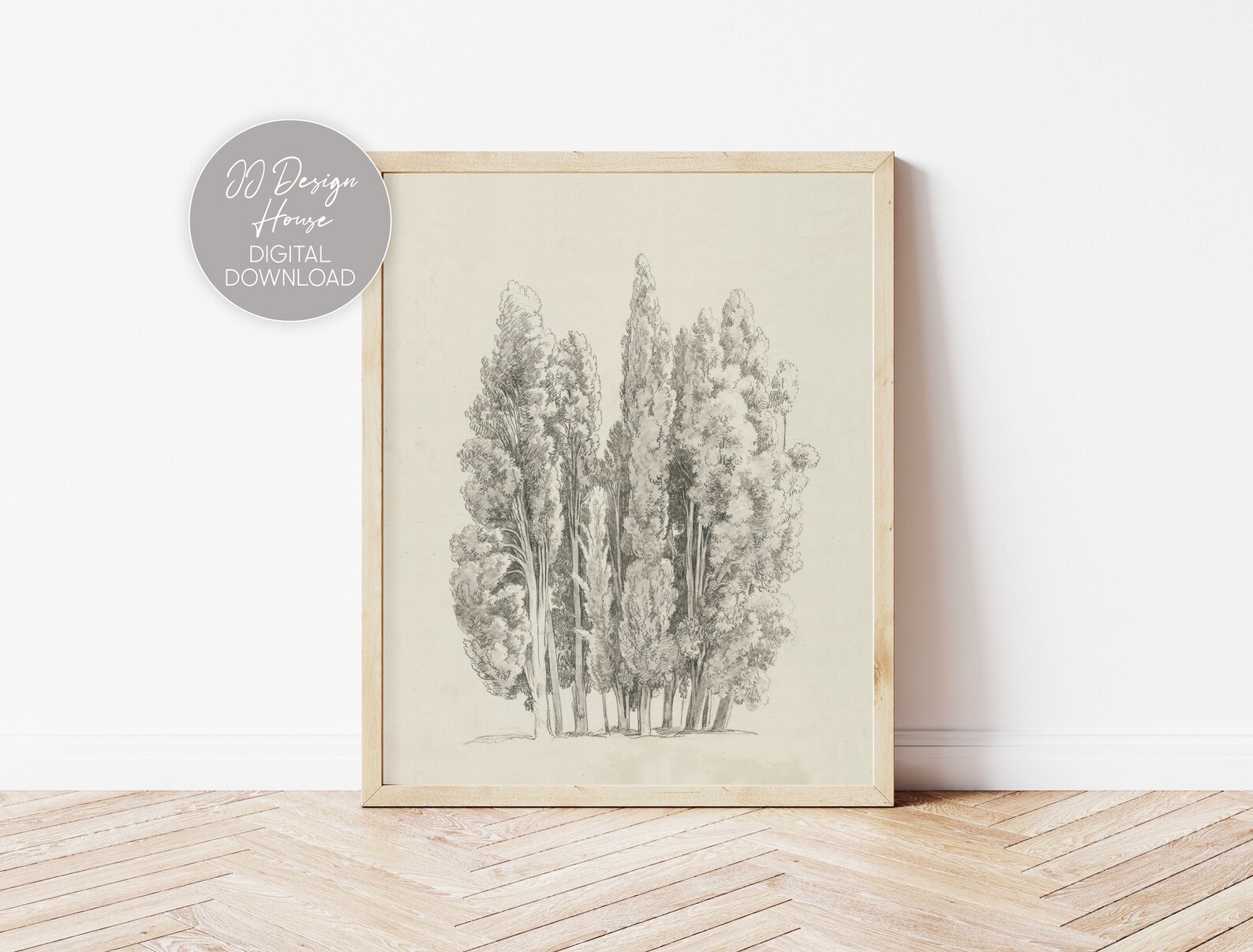 Vintage Tree Sketch, Botanical Print, Vintage Tree Drawing, Tree ...