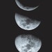 DIGITAL, Moon Print, Phases of the Moon, Moon Wall Art, Celestial Decor ...