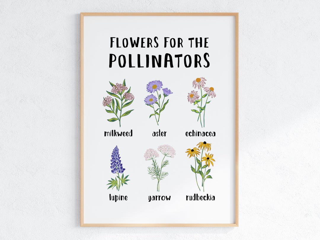 Protect the Pollinators Wall Art, Conservations Home Decor, Flowers for ...